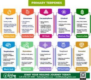 The Semi-Complete List Of Cannabis Terpenes | The Healing Clinics Medical Marijuana Doctors