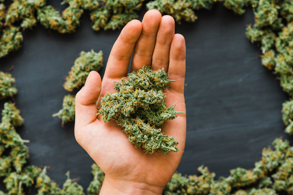 Medical Marijuana Doctors | Louisiana And Mississippi